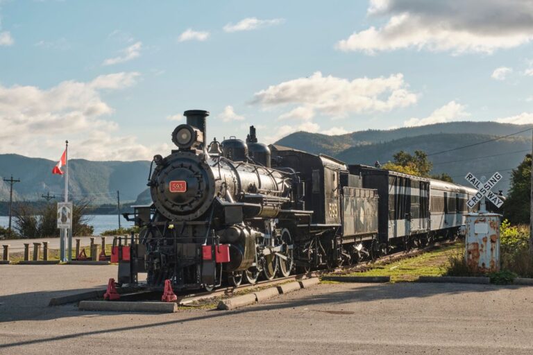 Cruise Ship Passenger Port of Call Guide to Corner Brook, Newfoundland ...